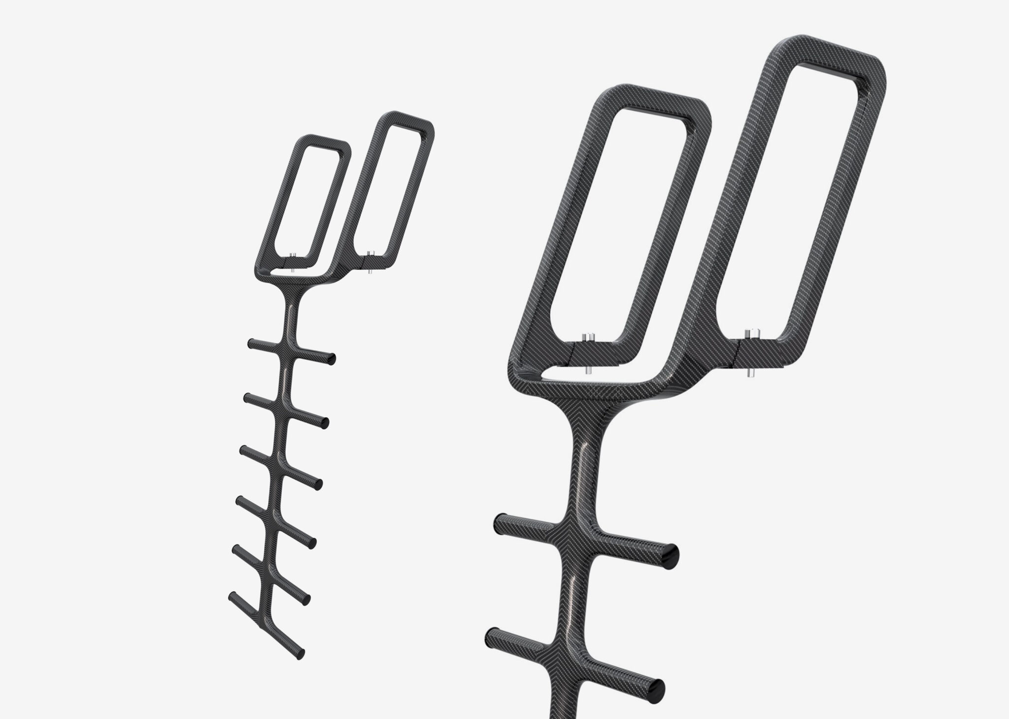 CARBON LADDERS - Argo Navis